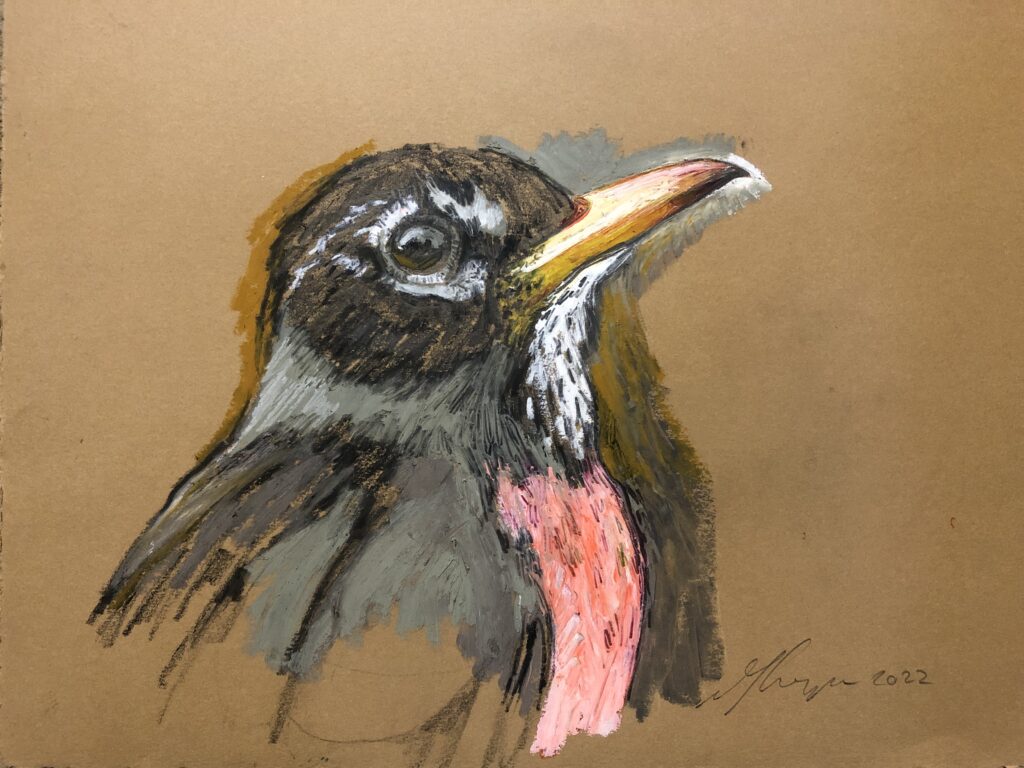 Robin – Deborah Thompson