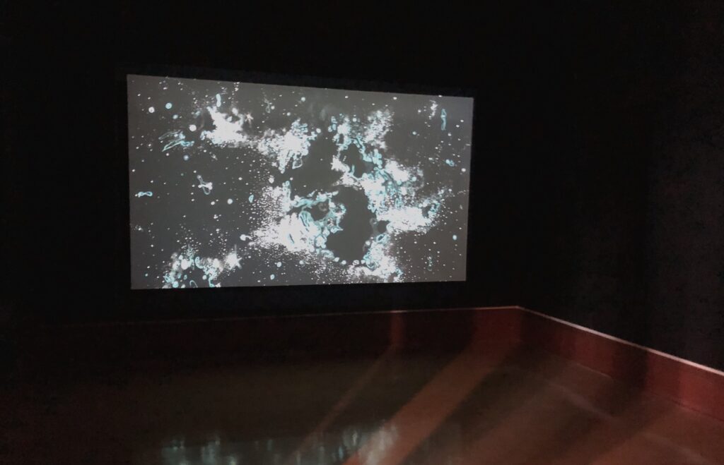 installation shot 03 – Deborah Thompson